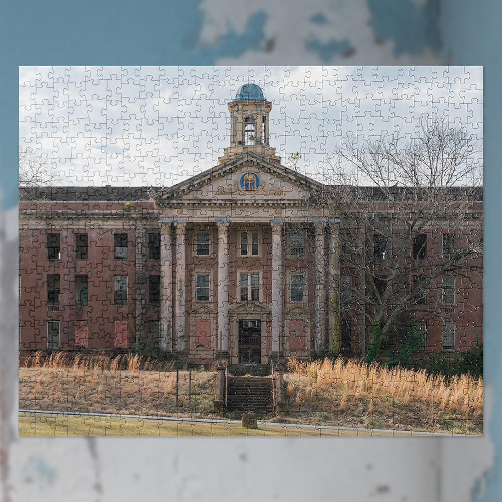 State Hospital Puzzle - The Proper People